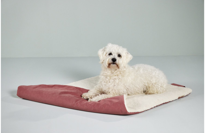Wolters Hunde Reisedecke VAGABUND, verschiedene Farben